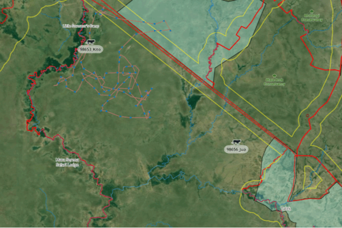 Masai Mara Weather and Wildlife July 2025 - The Governors Camp
